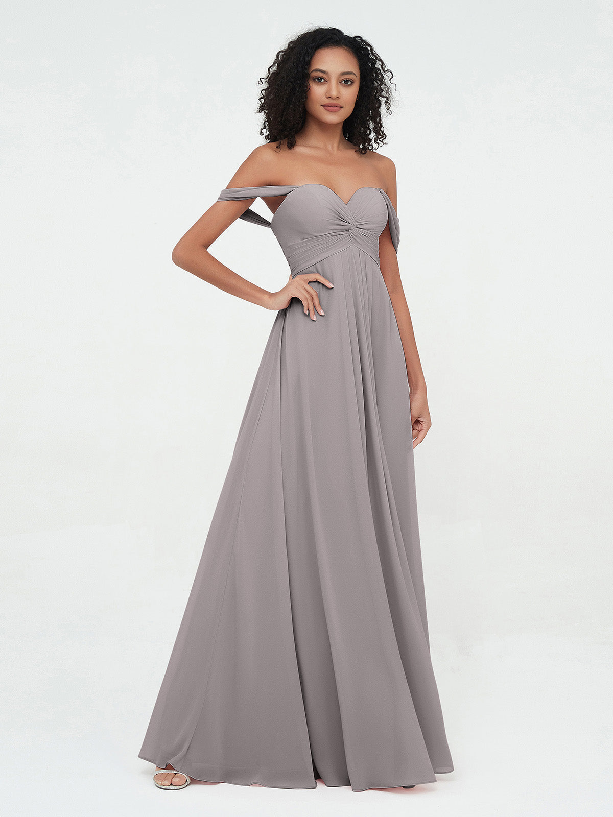 BABARONI Chiffon Silver Bridesmaid Dresses Off-the-shoulder Floor ...